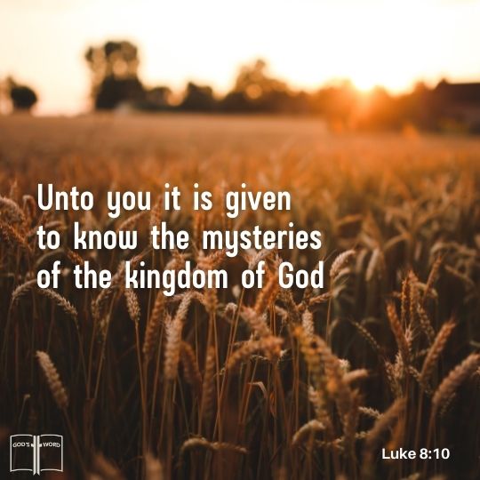 Parable Of The Sower And The Seed Its Meaning For Today
